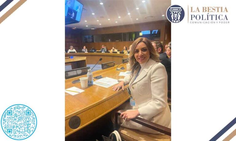 Acude diputada federal Dulce Silva a evento en la ONU en representación ...